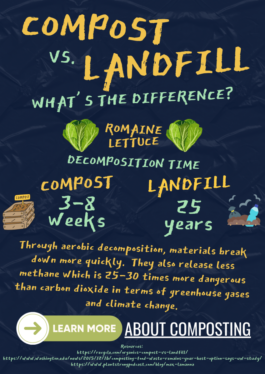 Compost vs. Landfill: What’s the Difference? – Feet to the Earth